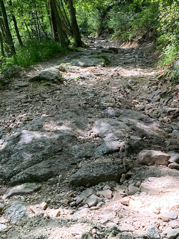 Upper Switchback - Wagon Path Mountain Biking Trail - Jim Thorpe, PA