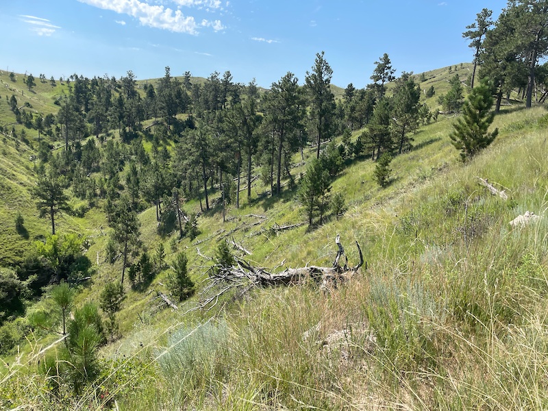 Fort Robinson State Park Mountain Biking Trails | Trailforks