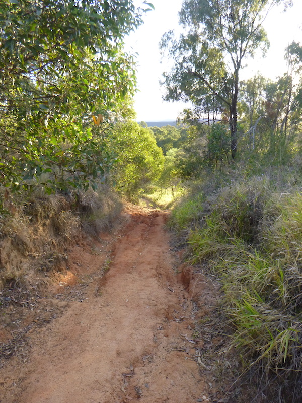 Yuddaman Water Tank Mountain Biking Trail - Ipswich