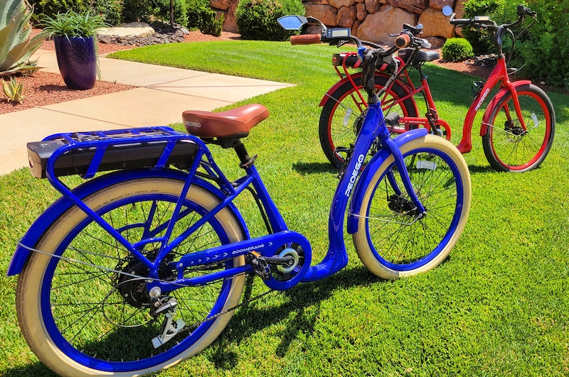 2020 Pedego ebike For Sale