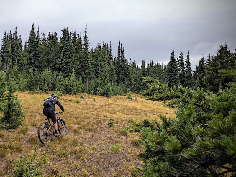 Pot Mountain Trail Multi Trail - Pierce, Idaho