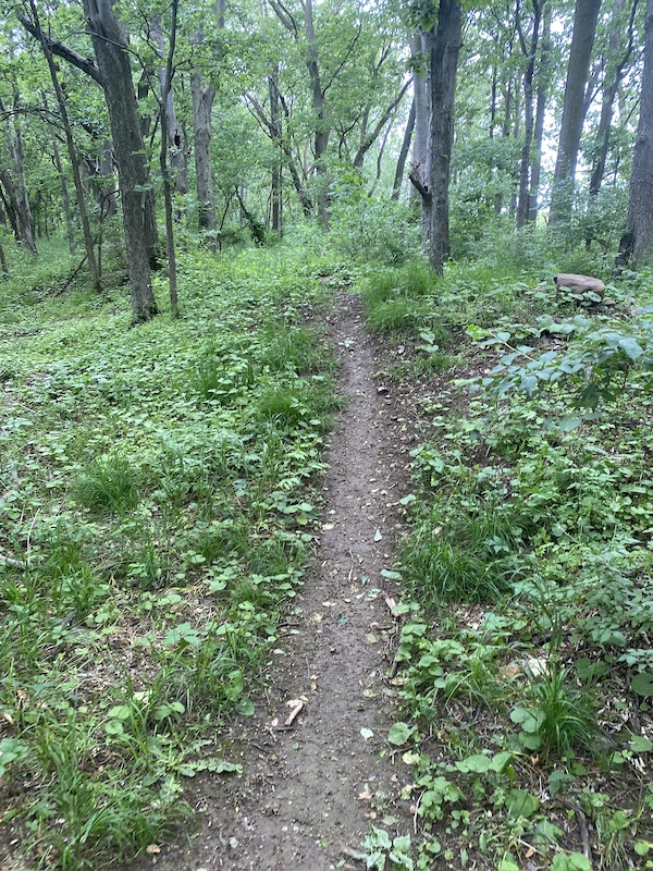 South Quarry Ridge Trail Mountain Biking Trail - Kelleys Island, OH