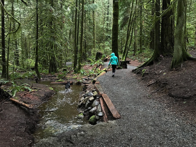 Chemainus Lake Trail Multi Trail - Chemainus, BC