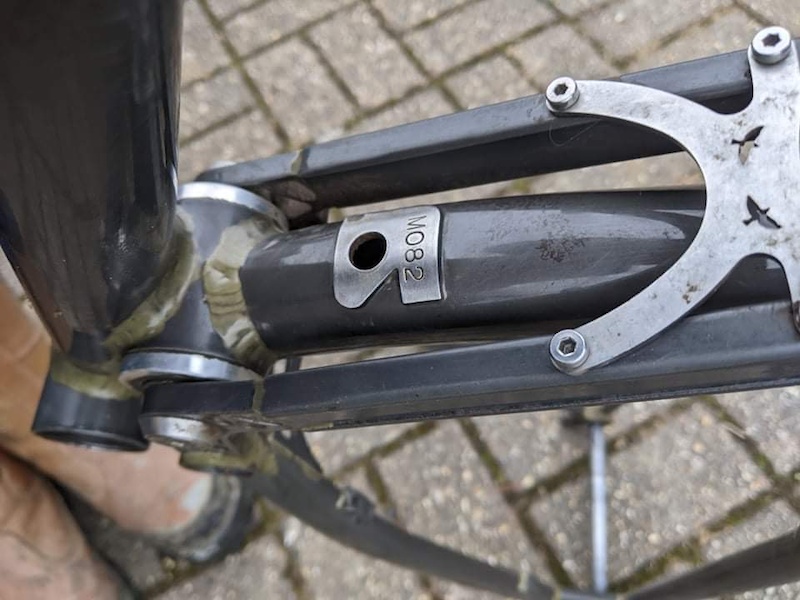 2019 Starling Murmur For Sale