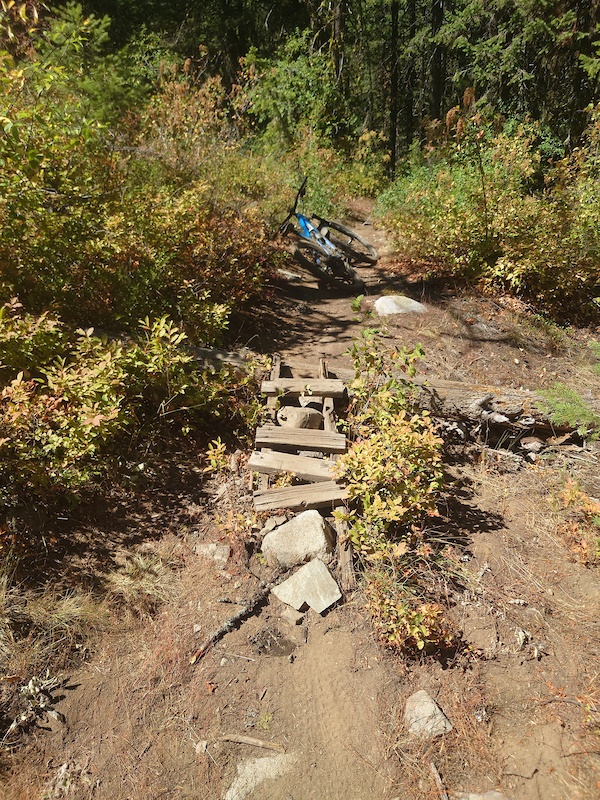 Pale Ale (upper) Mountain Biking Trail - Rossland, BC