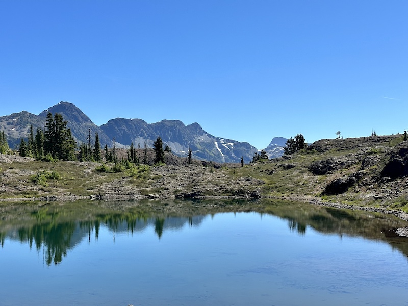 Flower Ridge Trail Hiking Trail - Comox, British Columbia