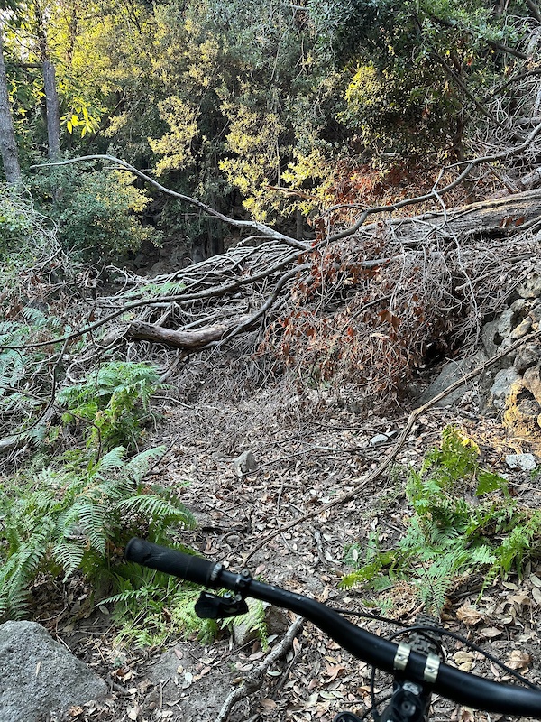 Pomonte DH Mountain Biking Trail - | Trailforks