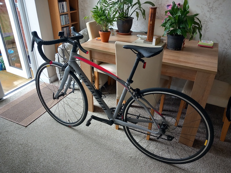 2018 Specialized Dolce For Sale For Sale