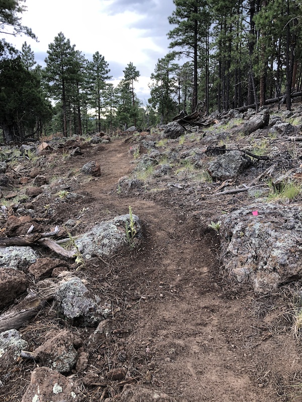 Apollo Multi Trail - Flagstaff, Arizona | Trailforks