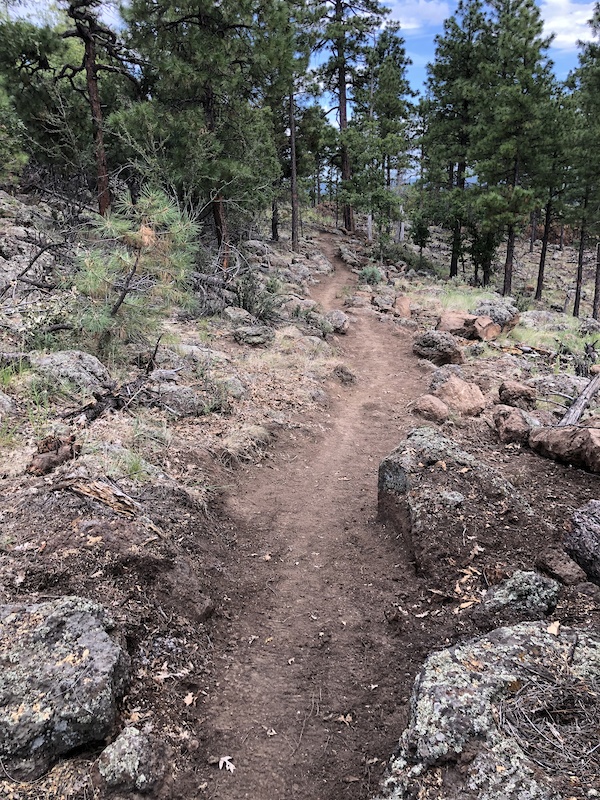 Apollo Multi Trail - Flagstaff, Arizona | Trailforks
