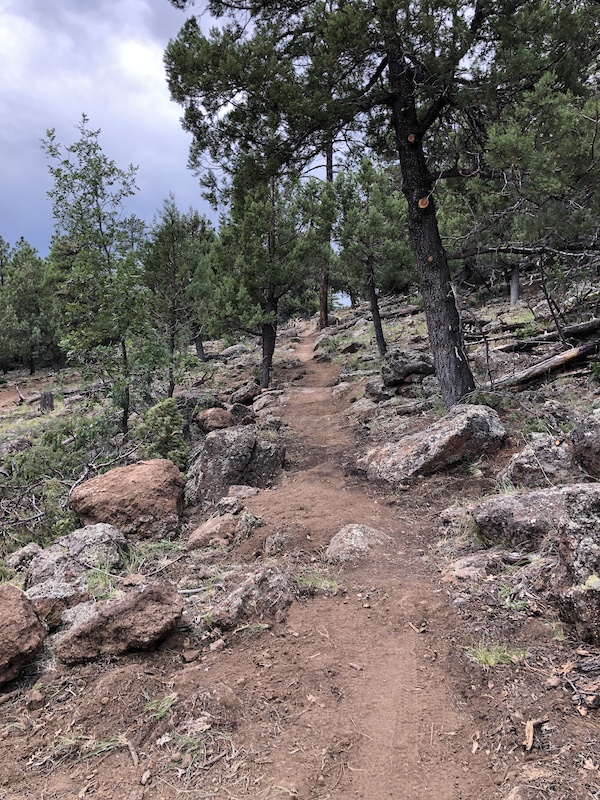 Apollo Multi Trail - Flagstaff, Arizona | Trailforks