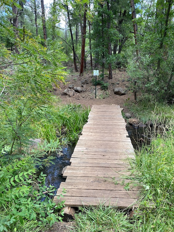 Turkey Track Loop Trail Multi Trail - Pinetop-Lakeside