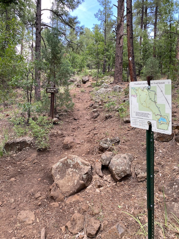 Turkey Track Loop Trail Multi Trail - Pinetop-Lakeside
