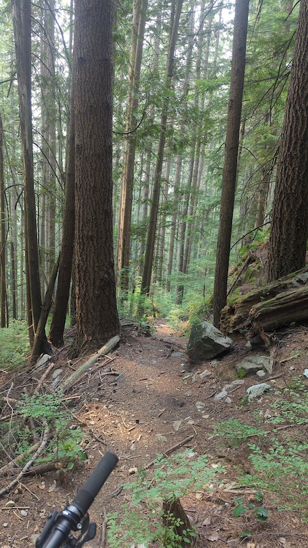 Three Chop Loop Hiking Route | Trailforks