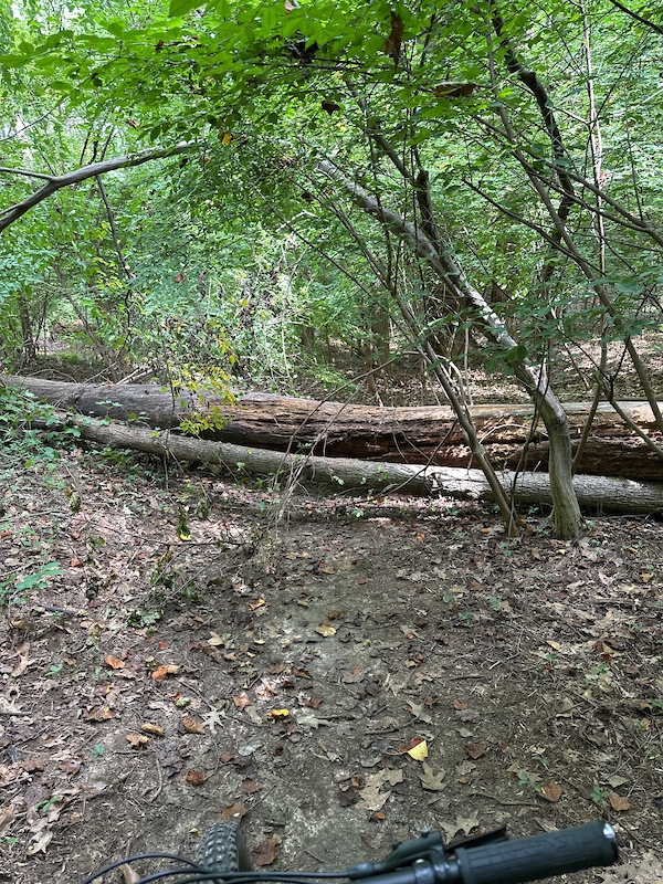 Iron Hill Loop Multi Trail - Newark, Delaware