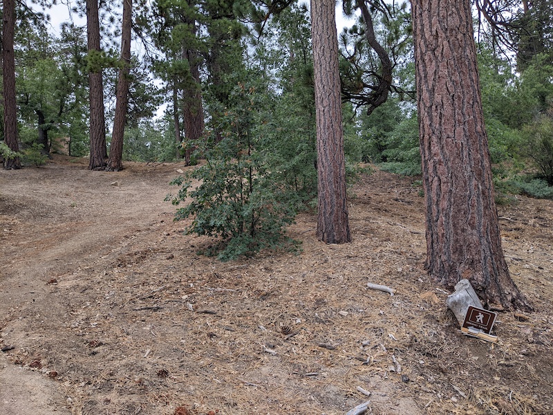 Metcalf Trail Multi Trail - Big Bear City, California