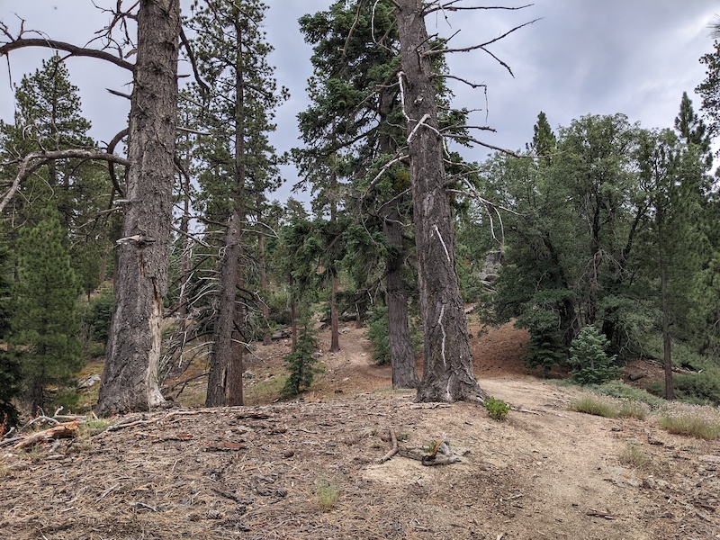 Metcalf Trail Multi Trail - Big Bear, California