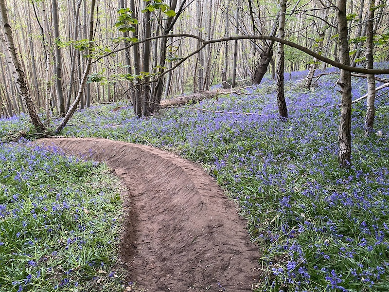 Cobham Woods, cuxton Mountain Biking Trails | Trailforks