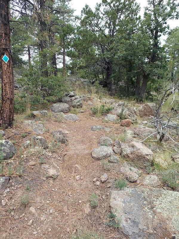 Buckskinner Trail Hiking Trail - Williams, AZ