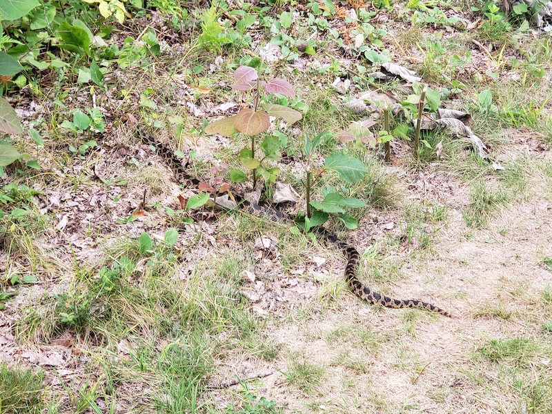 Prairie Dells Loop Mountain Biking Trails | Trailforks