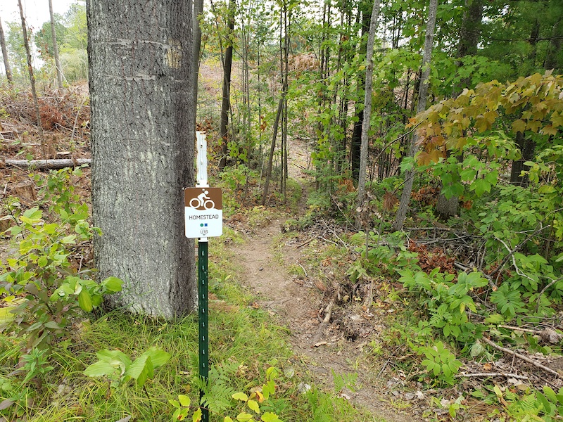 All of Underdown Mountain Biking Route | Trailforks
