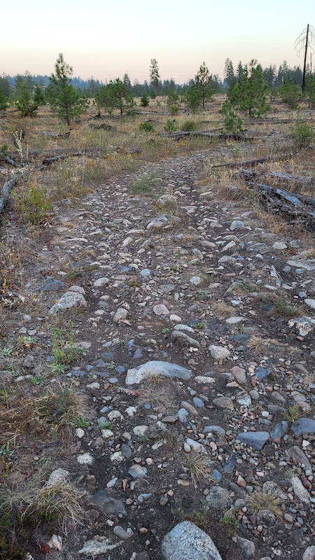 Phoenix Connection Multi Trail - Spokane, Washington