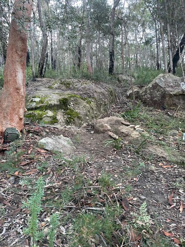 The Old logging trail Mountain Biking Trail - Kurrajong