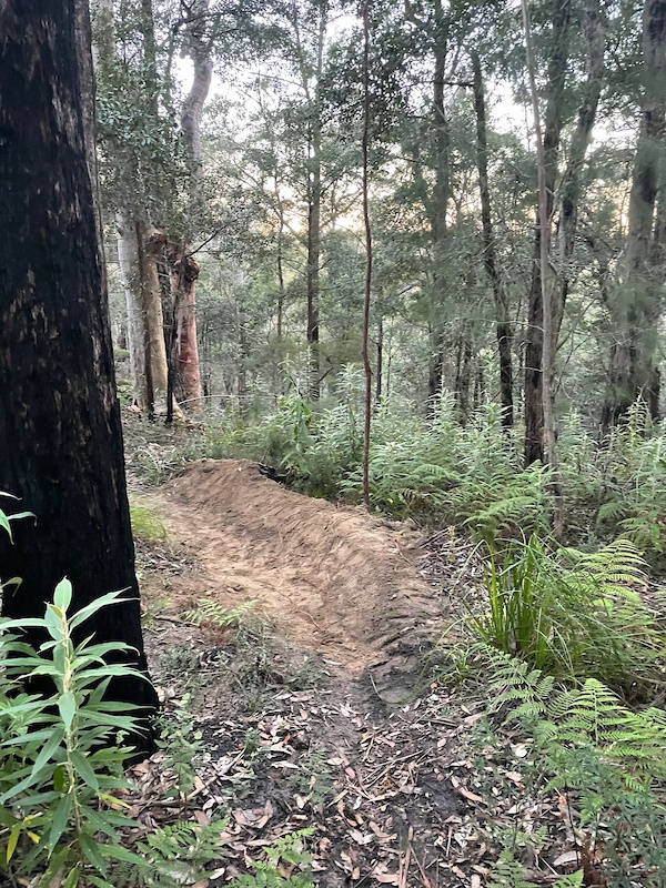 The Old logging trail Mountain Biking Trail - Kurrajong