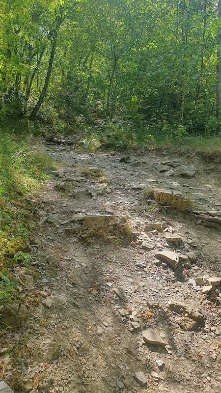 Via Francigena Tugo - Berceto Multi Trail