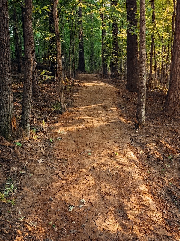 Lakewoods Trail System Mountain Biking Trails | Trailforks