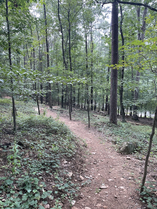 Lower Chestnut Loop Mountain Biking Trail - Atlanta