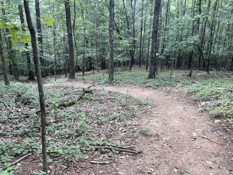 Lower Chestnut Loop Mountain Biking Trail - Atlanta