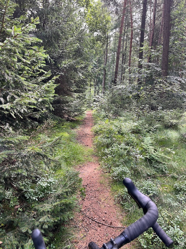 Damme, Germany Road Biking Trails | Trailforks