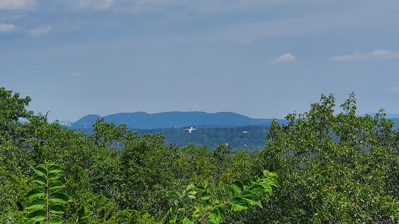 Regicides - Red Trail Complete Circuit Hiking Route | Trailforks