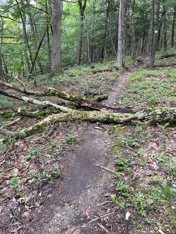 Back Nine Mountain Biking Trail - Poultney, Vermont