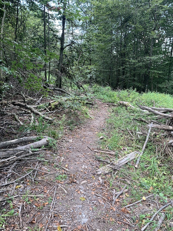 Bodacious Berms Mountain Biking Trail - | Trailforks