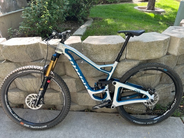 2022 Niner RIP 9 RDO (Large) 3 Star GX Build For Sale
