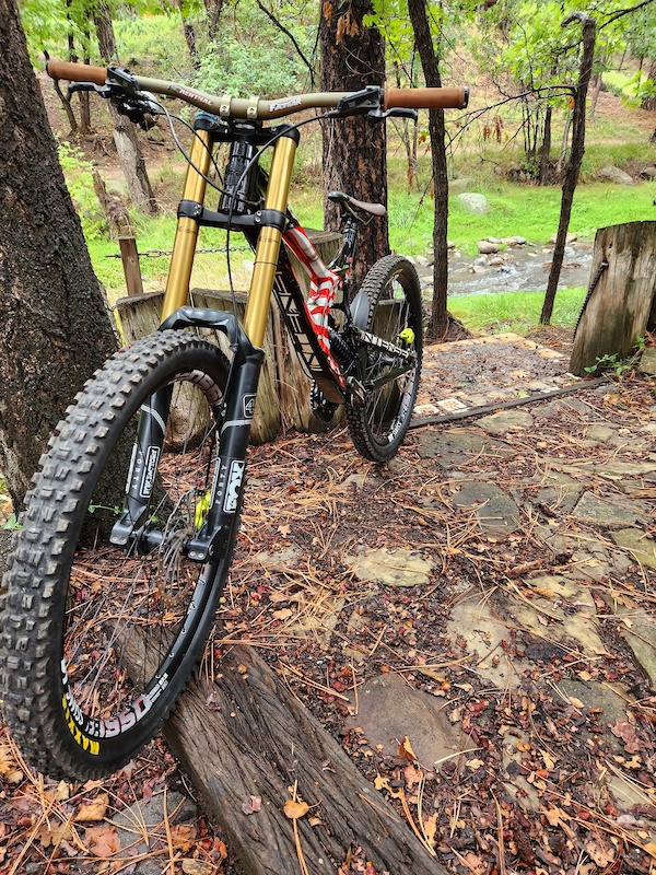 2016 Intense M16 Palmer Limited Edition For Sale