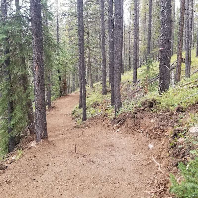Shattered Mountain Biking Trail - Bragg Creek, Alberta