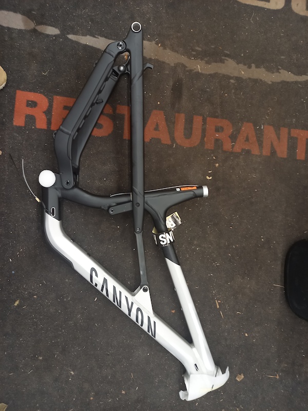 2022 New Canyon Spectral Size L frame For Sale