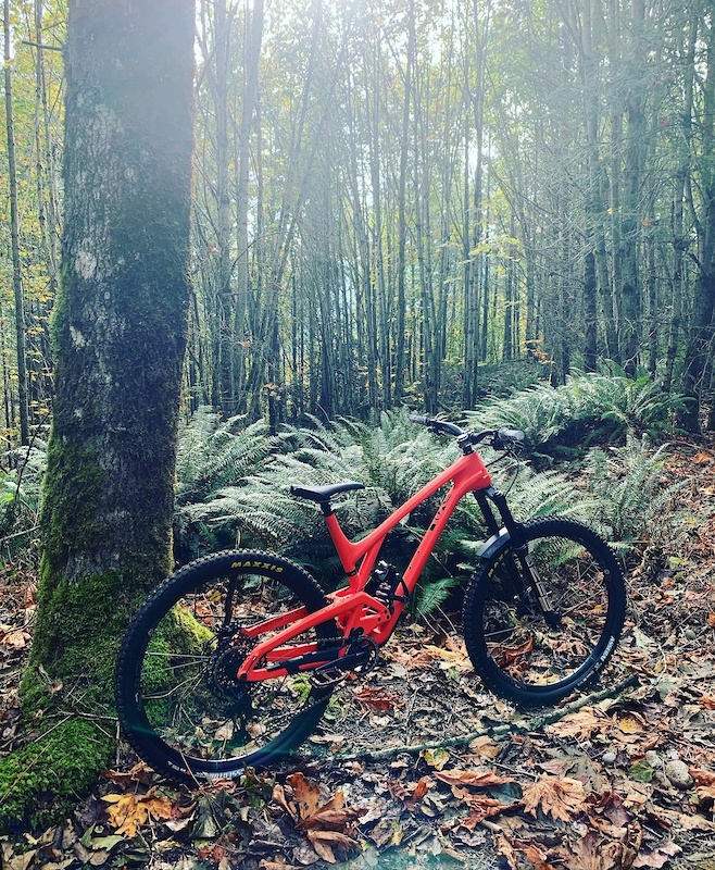 2020 Evil Wreckoning: Trade for DH bike For Sale