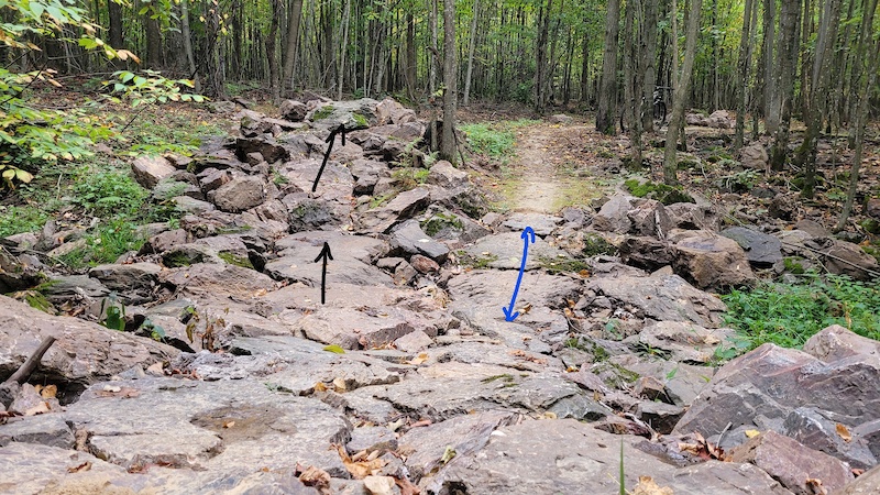 Powers Bluff, Arpin Mountain Biking Trails | Trailforks