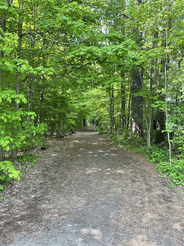 Lemoine Point Conservation Area, Kingston Hiking Trails | Trailforks