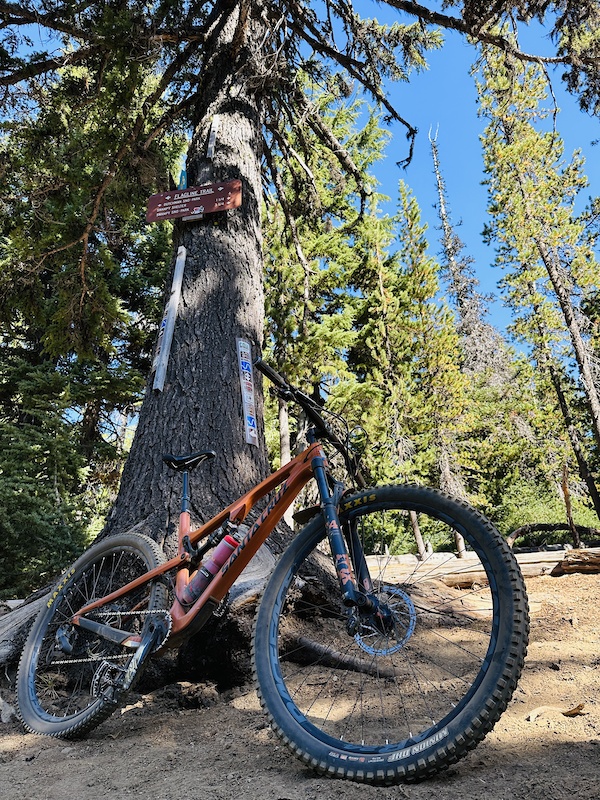 Swampy Lakes Loop: Ridge Loop->Flagline Tie->Lower Flagline Mountain ...