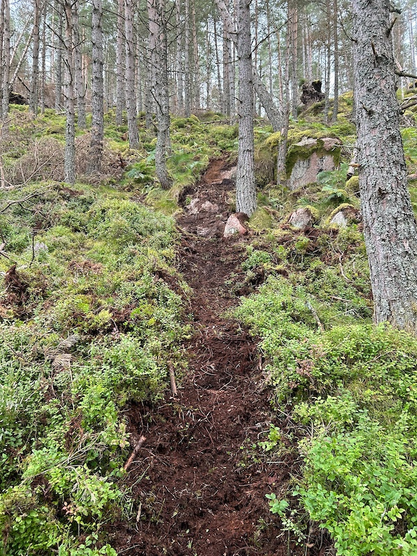 Reaper Mountain Biking Trail - Glen Tanar, Aboyne