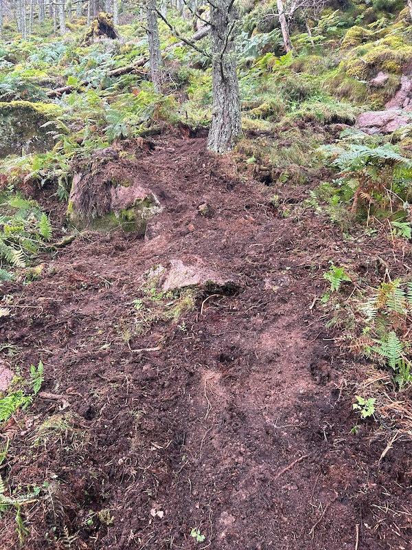 Reaper Mountain Biking Trail - Glen Tanar, Aboyne