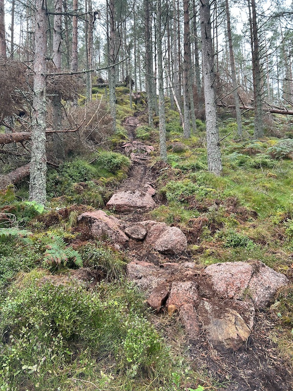 Reaper Mountain Biking Trail - Glen Tanar, Aboyne