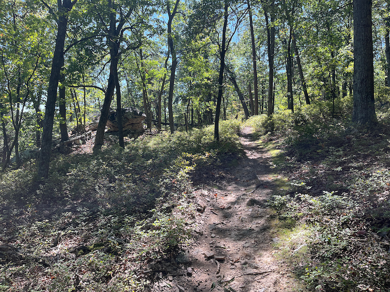 Ziler & Central Trail Multi Trail - Berkeley Springs