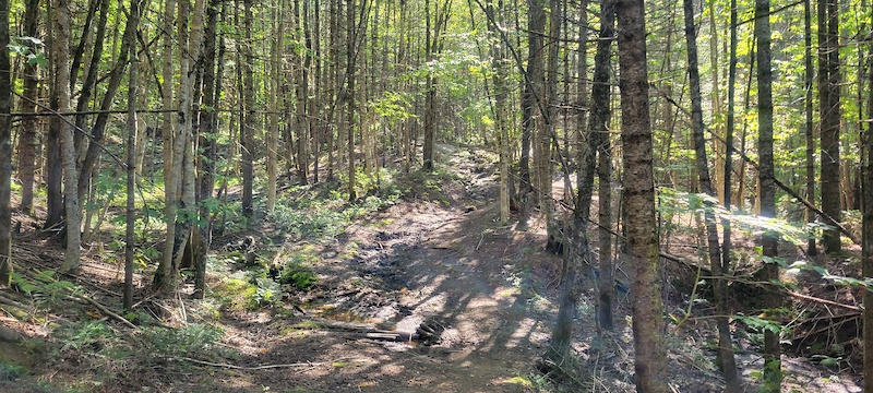 Descente du IGA Mountain Biking Trail - Lac Beauport, QC