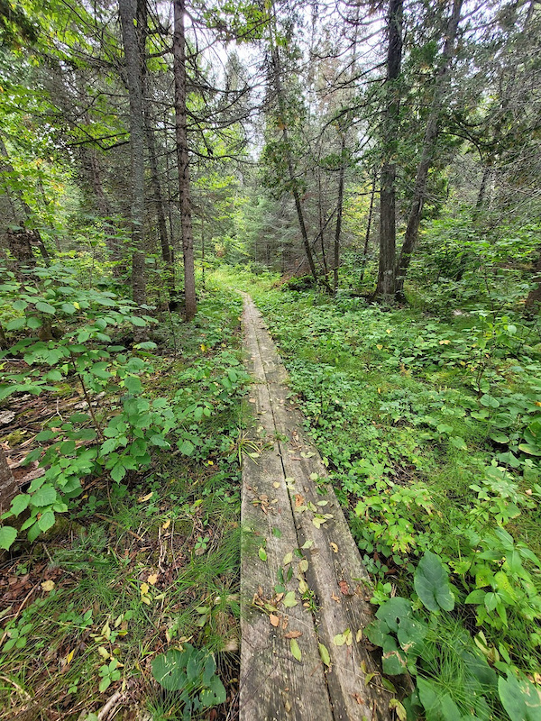 Mic Mac Lake Trail Multi Trail - Silver Bay, Minnesota